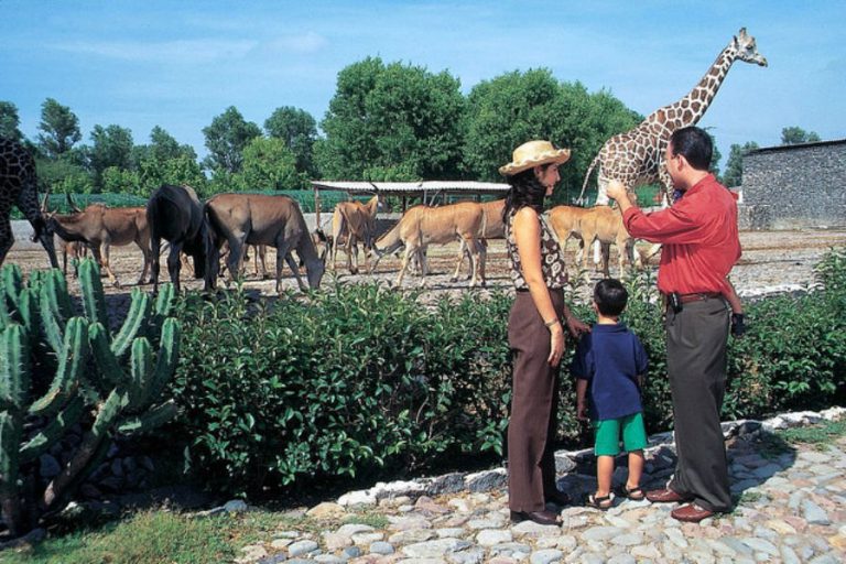 Fin de semana en el Parque Zoológico Wameru, en Querétaro Fin de semana ...