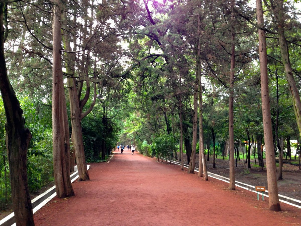 Los 5 mejores lugares para correr en el DF Actividades para el Fin de ...